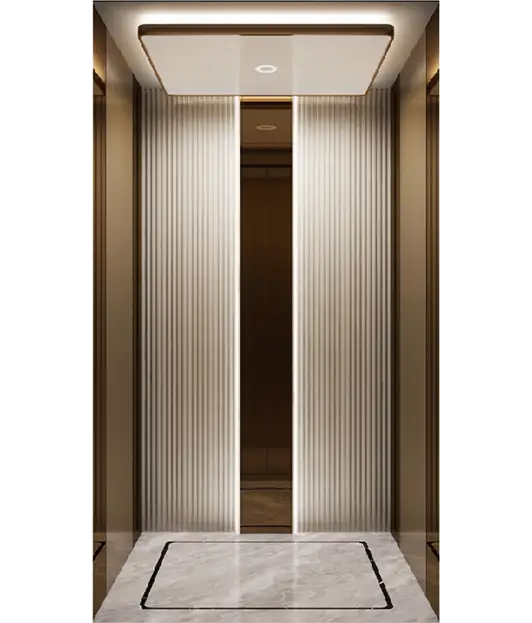 Custom Designed Home Elevators