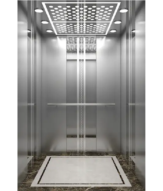 luxurious Silver Passenger Elevators