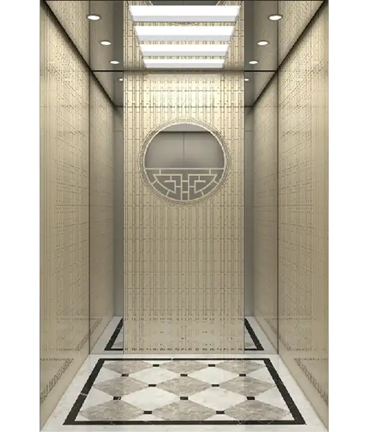 Modern Stylish Passenger Elevator